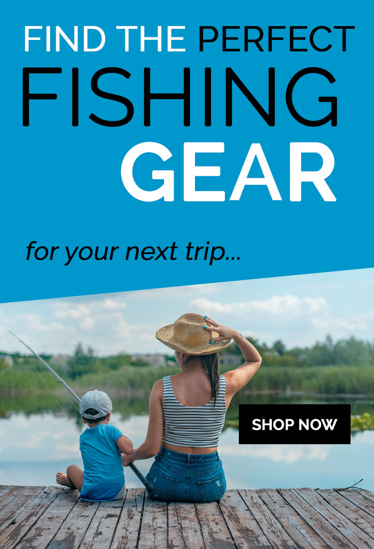 Blue Force Sports: Bereiten Sie sich auf den Sieg vor | Premium ...